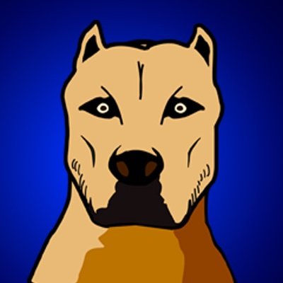 CITEBEUR.COM (@CITEBEUR) | TheCreatorRoster